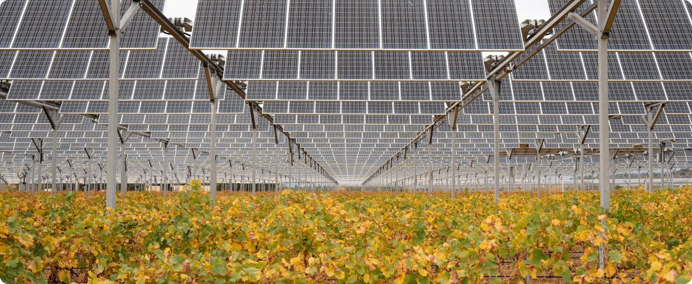 Agri-pv Solutions - AgriTrack by Optimum Tracker